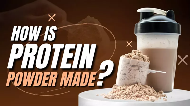 How Is Protein Powder Made? Maggots, Worms & the Truth!